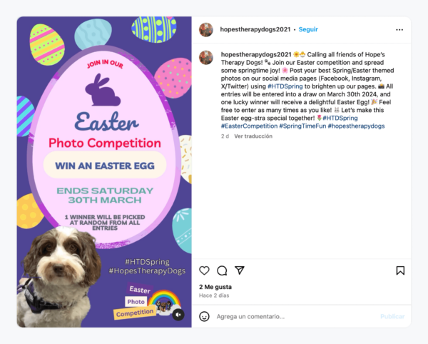 16 Eggcellent Easter Social Media Post Ideas for 2026